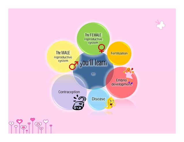 Reproductive System Ppt