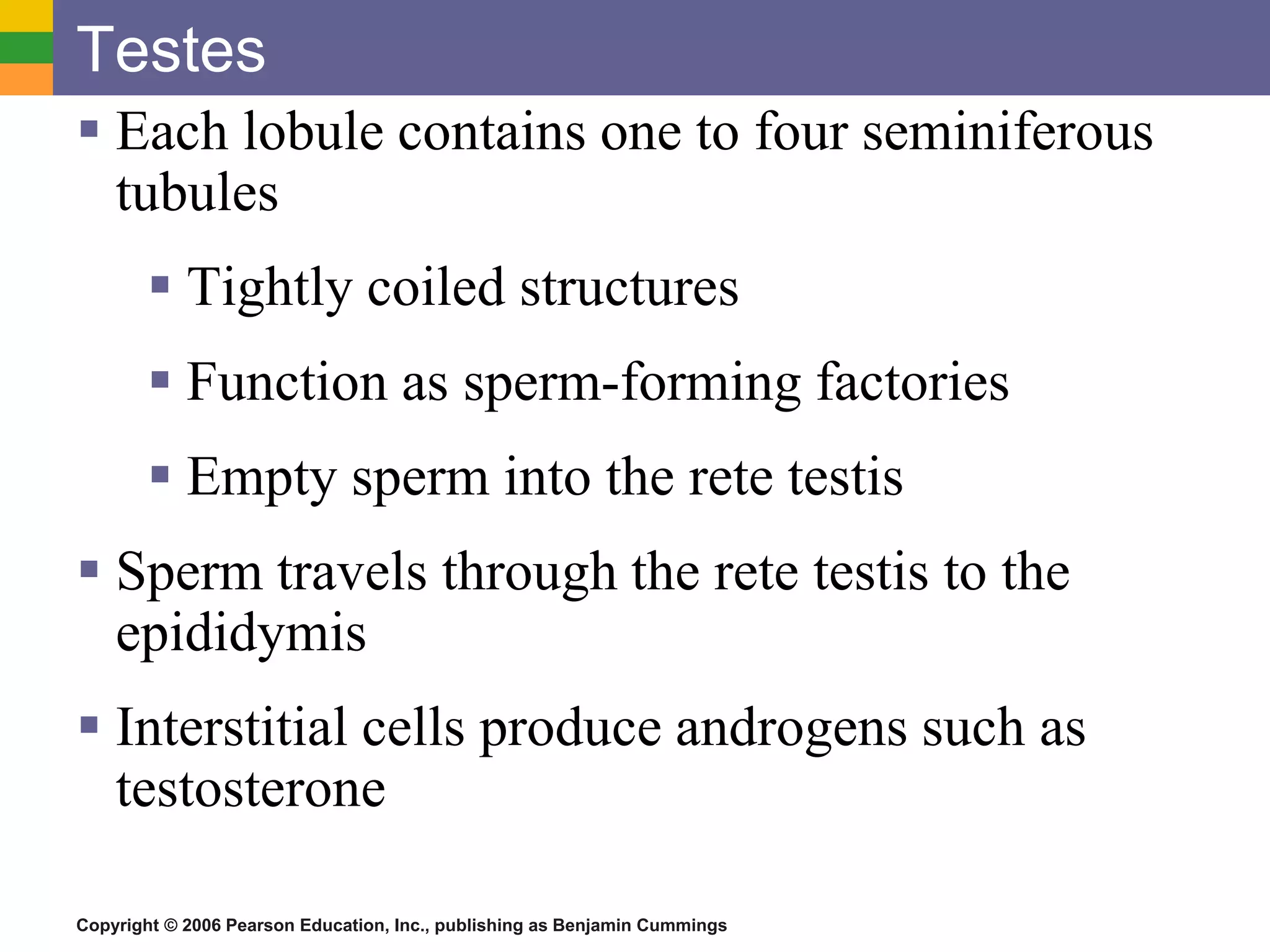 Reproductive-System.ppt
