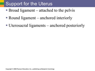 Reproductive-System.ppt