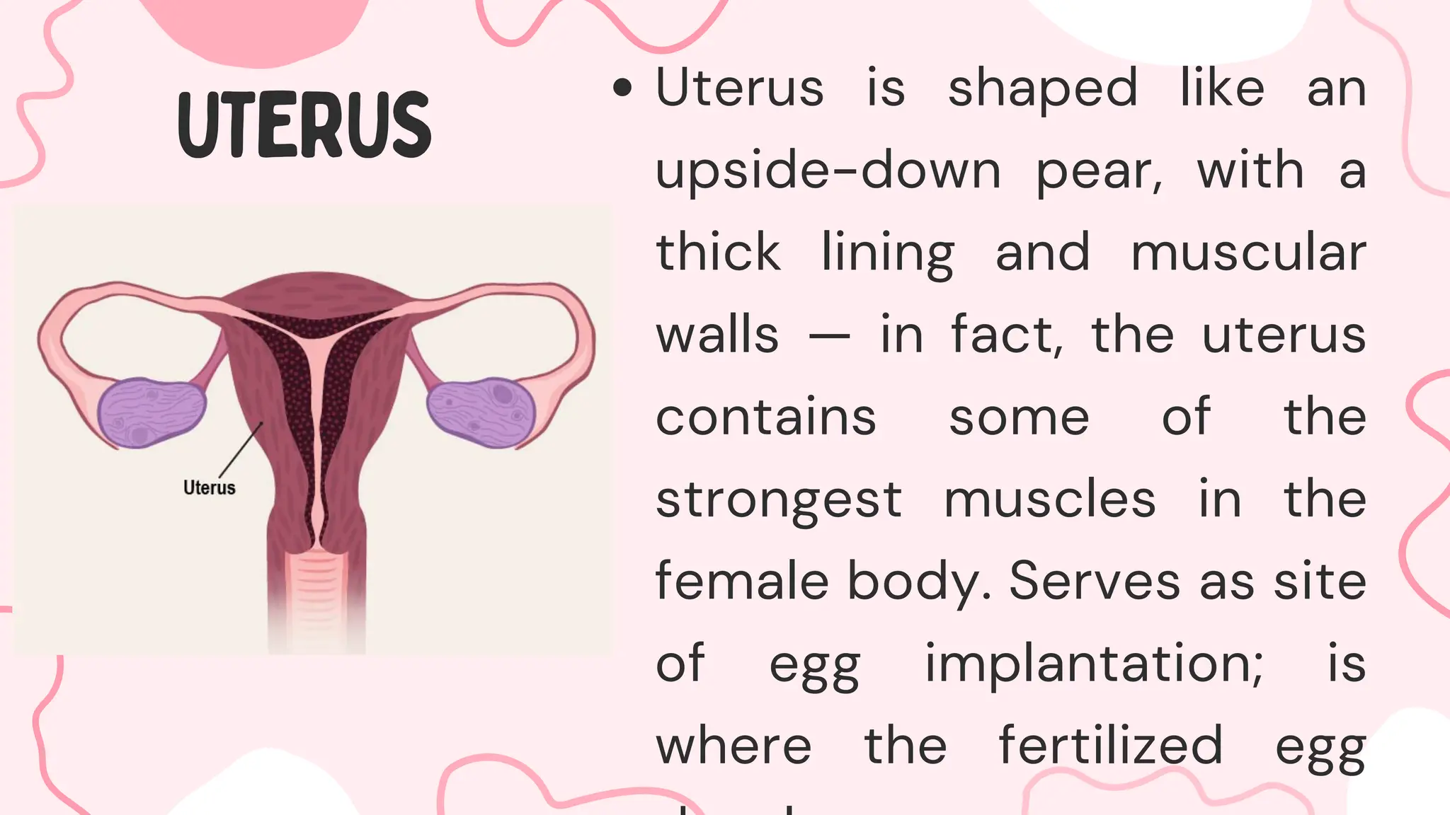 SCIENCE-QUARTER3-REPRODUCTIVE-SYSTEM.pdf