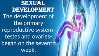 HUMAN REPRODUCTIVE-SYSTEM-Grade 10 4th quarter.pptx