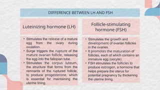 REPRODUCTIVE-SYSTEM-MALE-AND-FEMALE-ORGAN | PPTX