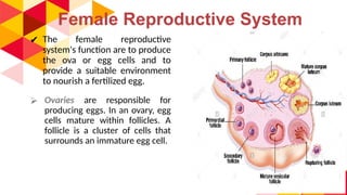 Reproductive-System for grade 10-copy.pptx
