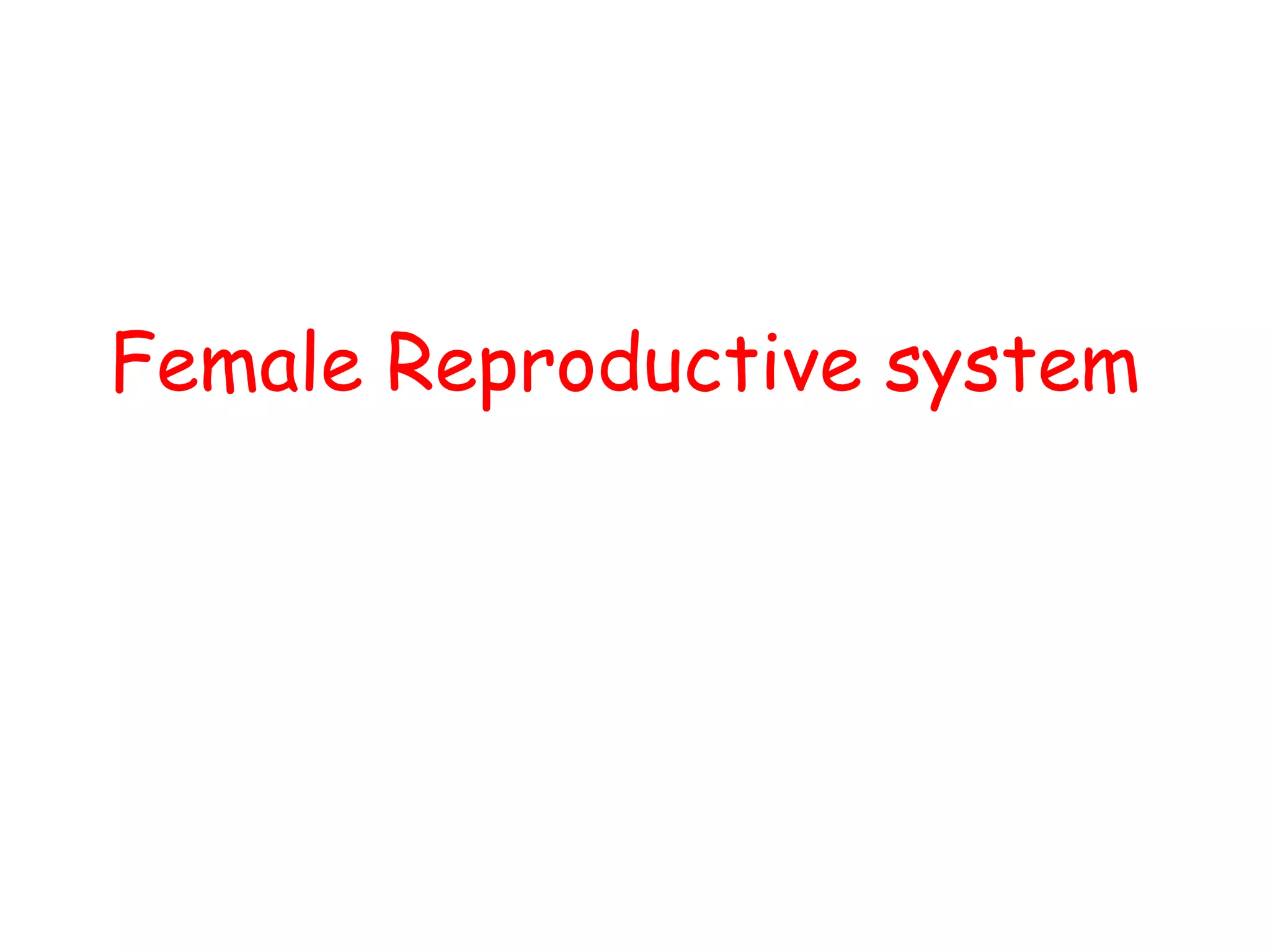 Reproductive-System-Power-Point-.pptx