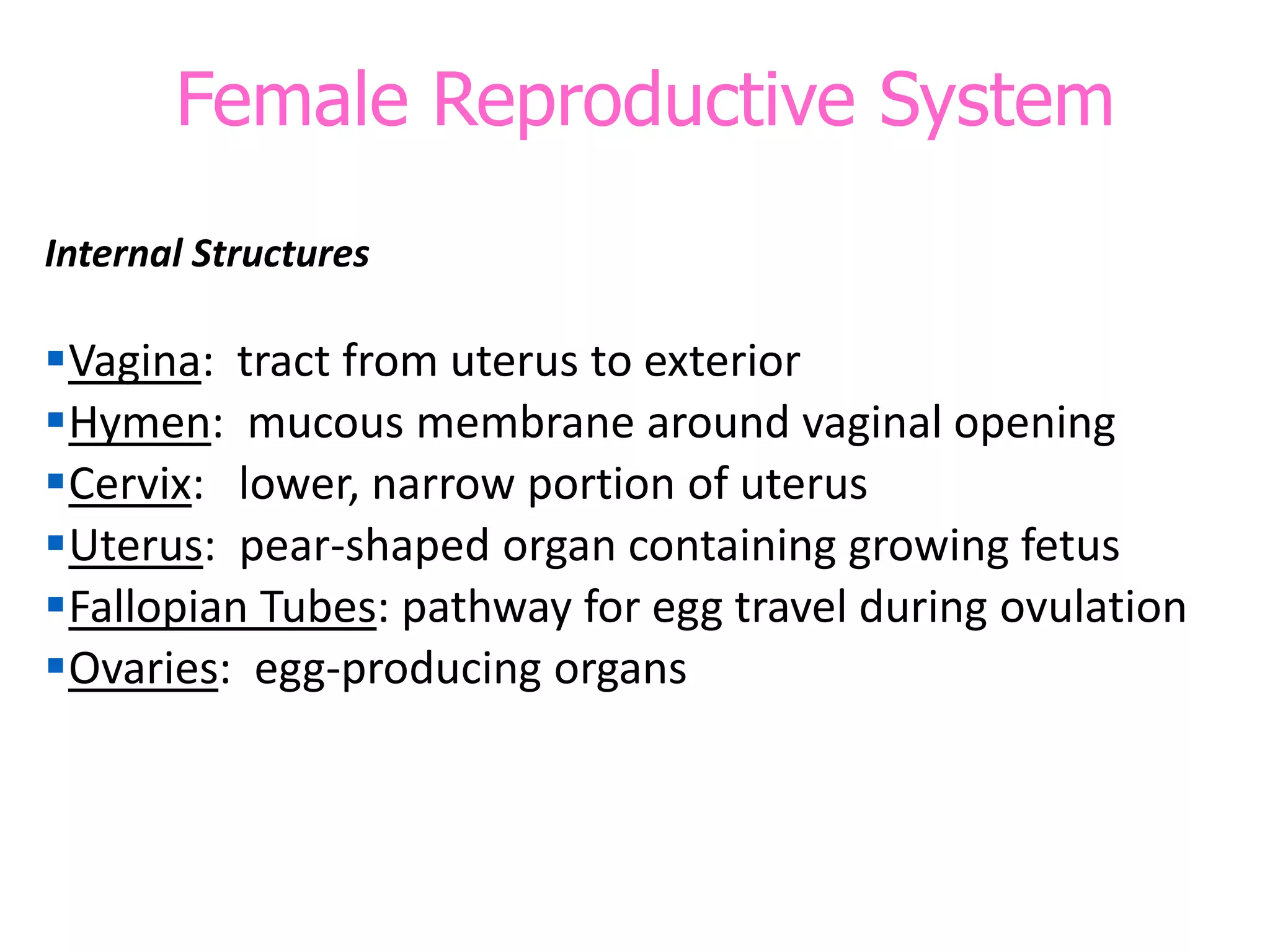 Reproductive-System-Power-Point-Ackroyd.pptx