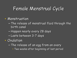 Reproductive System PPT | PPT