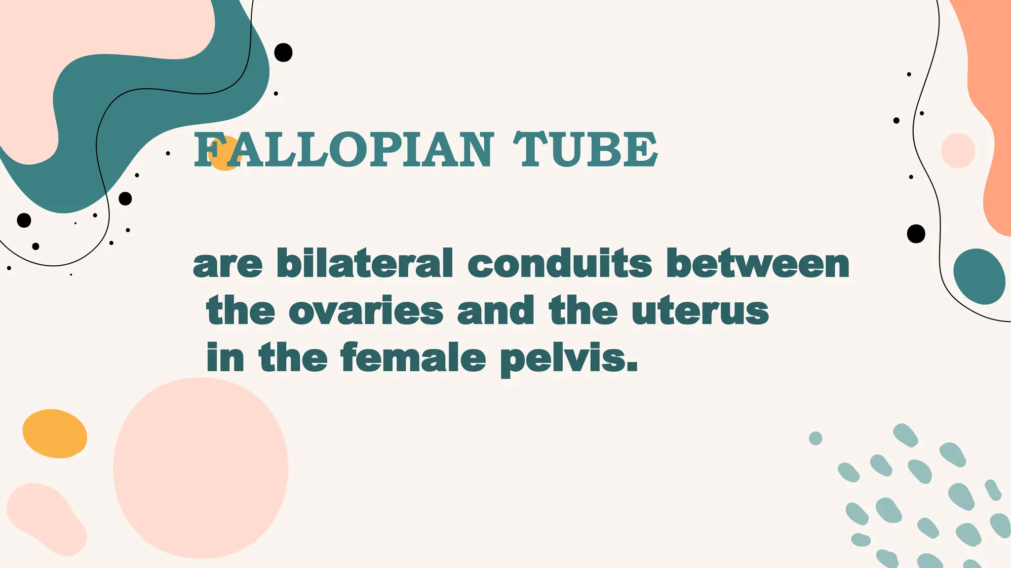 Grade 10 Science Reproductive System Ppt.pptx