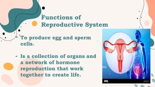 Grade 10 Science Reproductive System Ppt.pptx