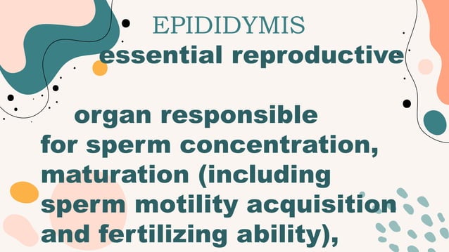 Grade 10 Science Reproductive System Ppt.pptx