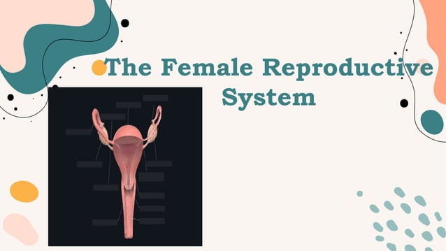 Grade 10 Science Reproductive System Ppt.pptx