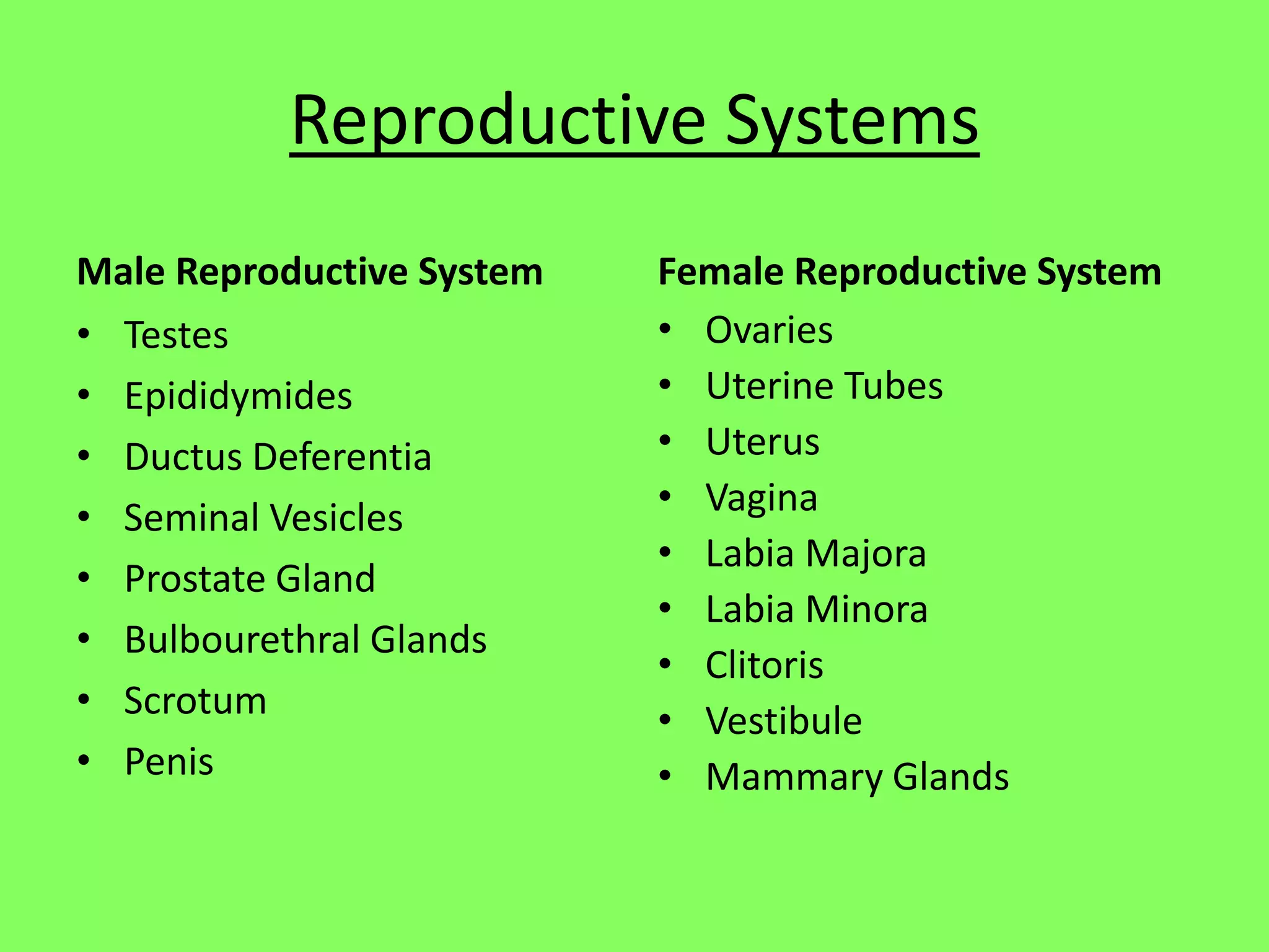 Reproductive Systems | PPTX
