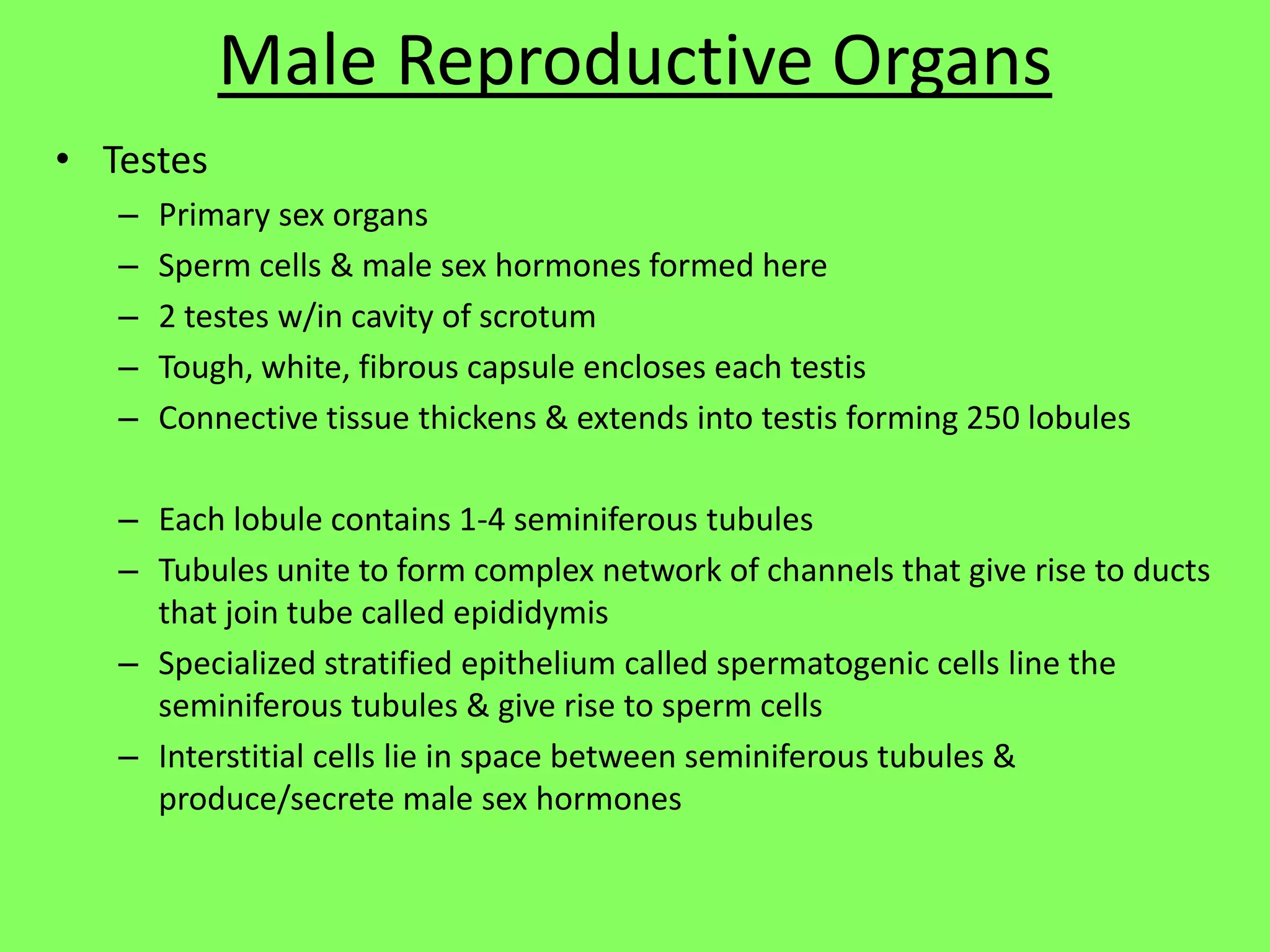 Reproductive Systems | PPTX