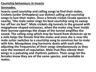 reproductive adaptation in insects.pptx
