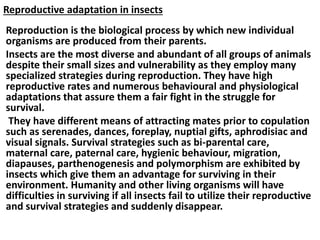 reproductive adaptation in insects.pptx