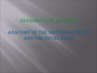 THE GROSS AND MICROSCOPIC ANATOMYOF THE FEMALE REPRODUCTIVE SYSTE.ppt