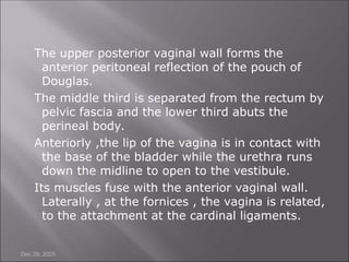 THE GROSS AND MICROSCOPIC ANATOMYOF THE FEMALE REPRODUCTIVE SYSTE.ppt