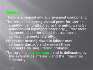 THE GROSS AND MICROSCOPIC ANATOMYOF THE FEMALE REPRODUCTIVE SYSTE.ppt