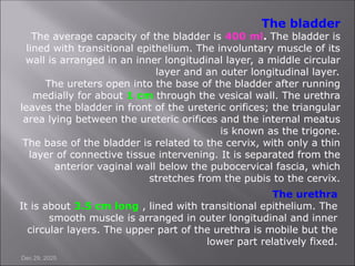 THE GROSS AND MICROSCOPIC ANATOMYOF THE FEMALE REPRODUCTIVE SYSTE.ppt