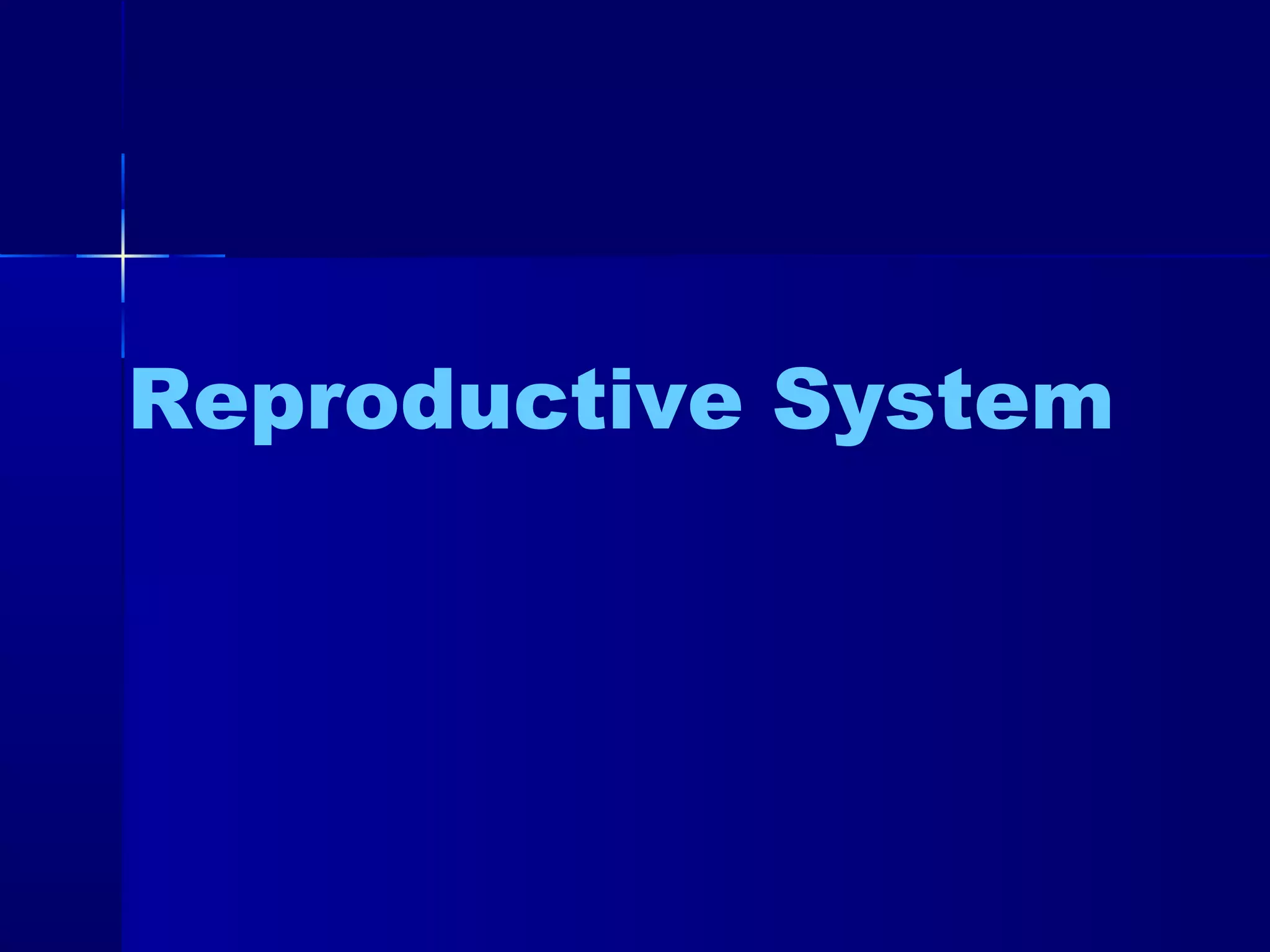 Reproductive Anatomy And Physiology Pptx