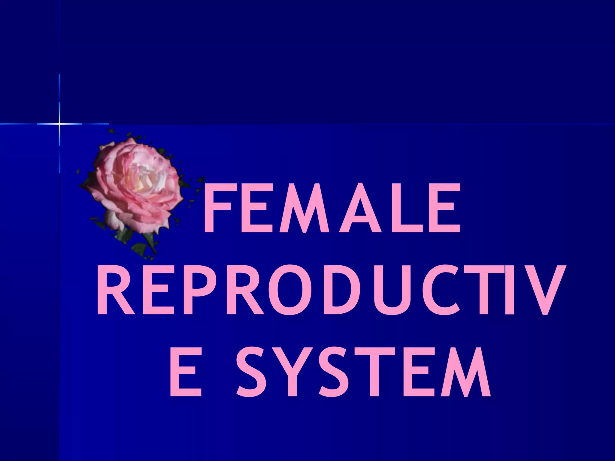 Reproductive Anatomy and Physiology.pptx