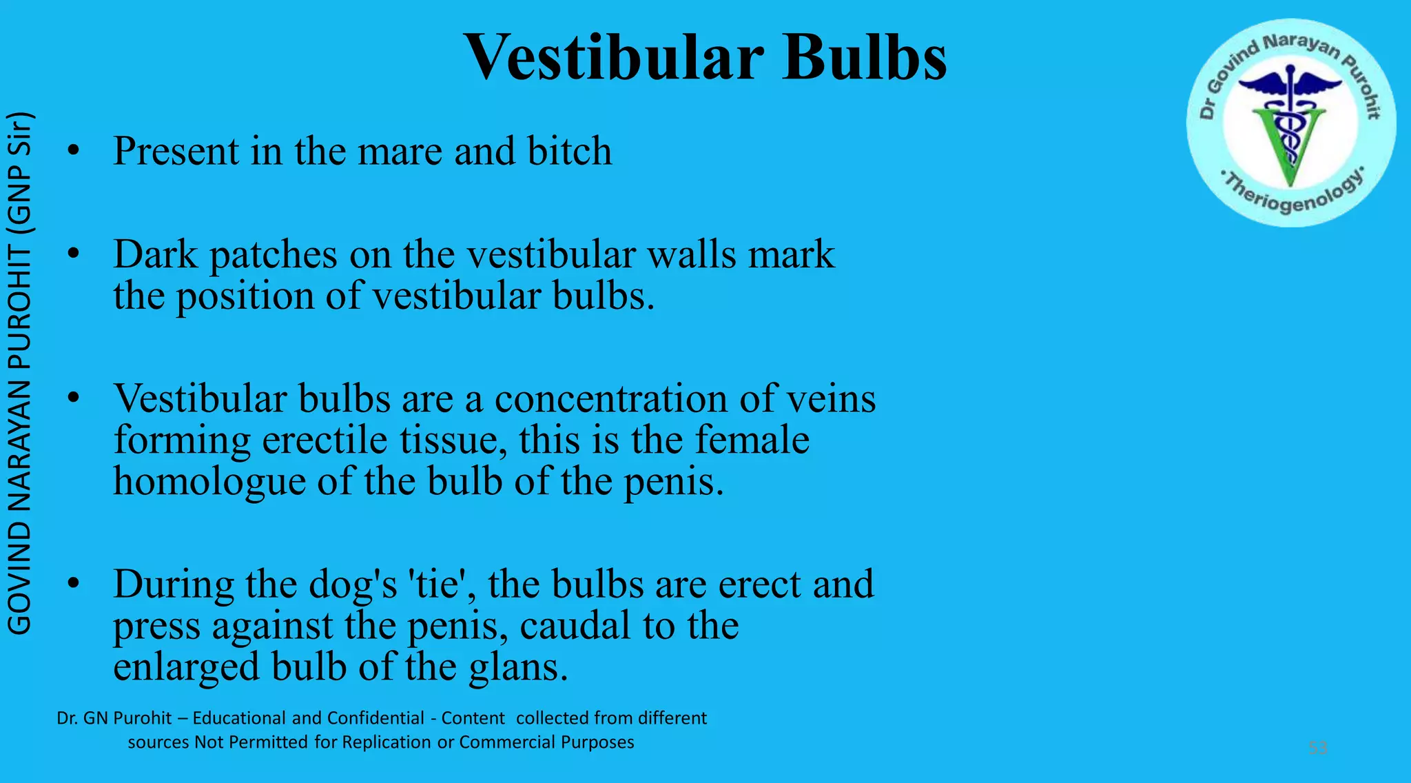 Reproductive anatomy of females ii tubular structures (1) | PDF