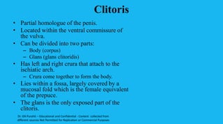 Reproductive anatomy of females ii tubular structures (1) | PDF