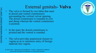 Reproductive anatomy of females ii tubular structures (1) | PPT