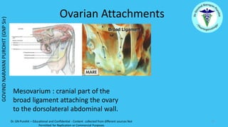 Reproductive anatomy of females i ovaries | PDF