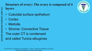 Reproductive anatomy of females i ovaries | PDF