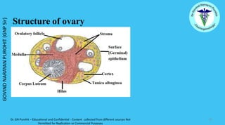 Reproductive anatomy of females i ovaries | PDF