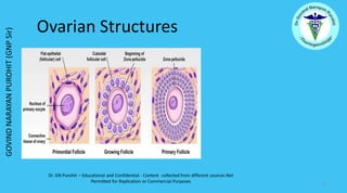 Reproductive anatomy of females i ovaries | PDF