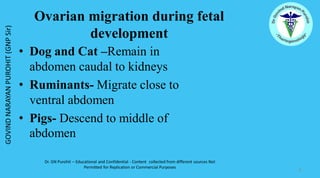 Reproductive anatomy of females i ovaries | PDF
