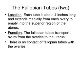 Reproductive anatomy & physiology | PPT