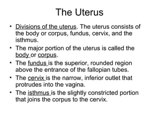 Reproductive anatomy & physiology | PPT