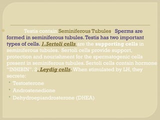 reproductiveandhormonalfunctionsofthemale-210530102855.pptx