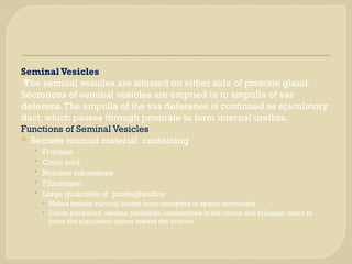 reproductiveandhormonalfunctionsofthemale-210530102855.pptx