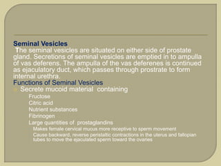 Reproductive and hormonal functions of the male | PPTX