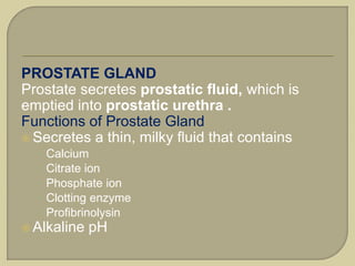 Reproductive and hormonal functions of the male | PPTX
