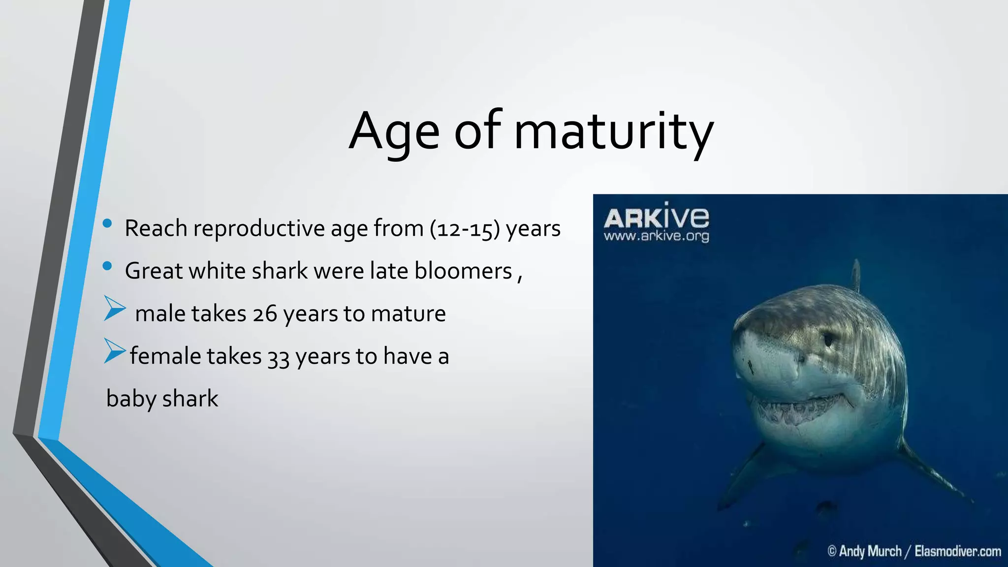 Reproductive behavior and parental care in sharks | PPTX