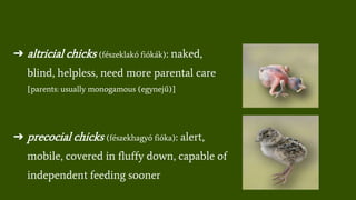 Reproductive behaviour-Parental care.pptx