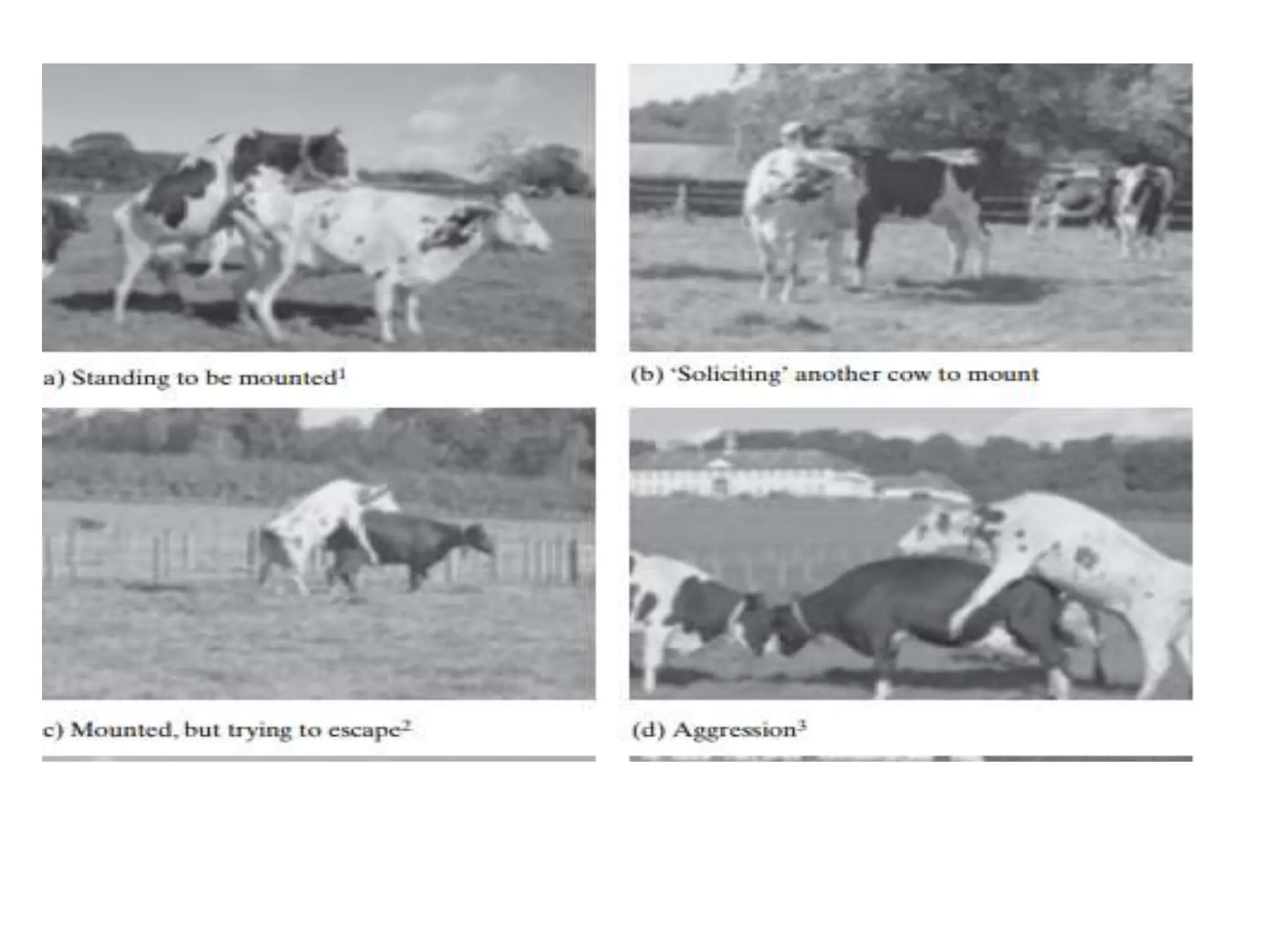 Reproductive Behaviour in farm animals (1).pptx