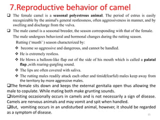 Reproductive Behaviour in farm animals (1).pptx