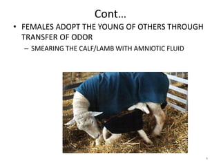 Reproductive Behaviour in farm animals (1).pptx