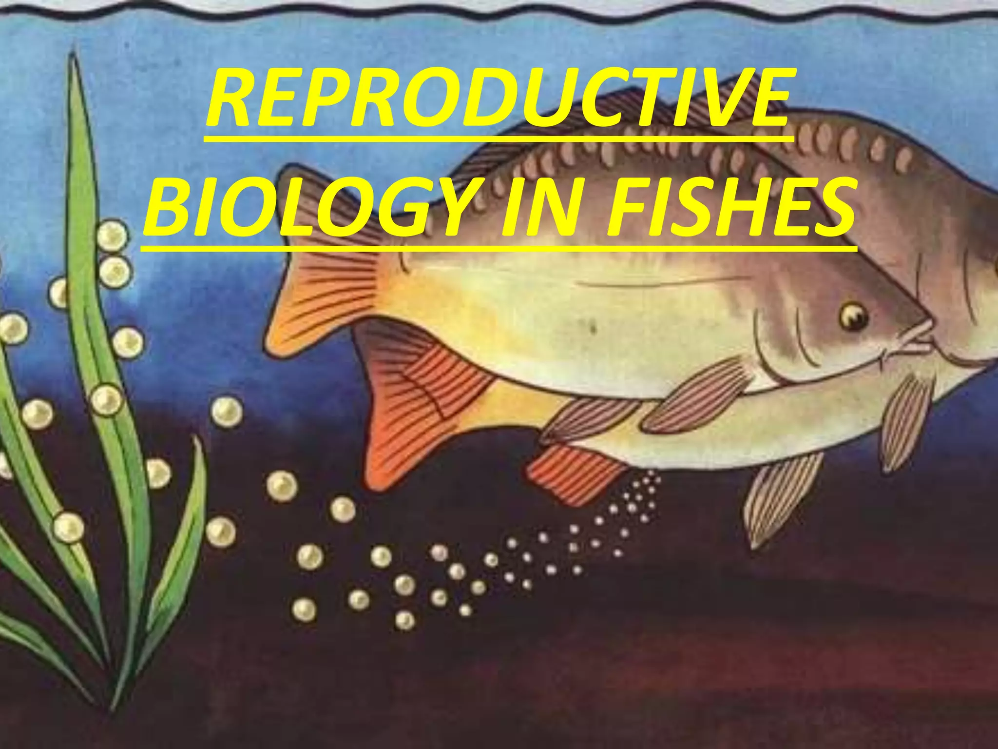 Reproductive biology | PPTX