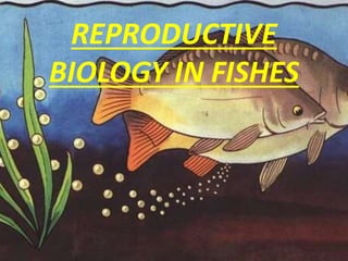 Reproductive biology | PPTX