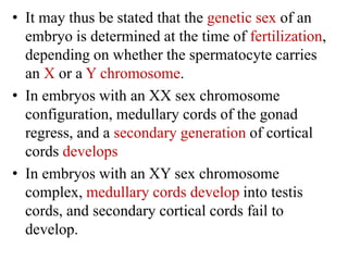 Sexual Differentiation During Development and Gonadal Dysgenesis | PPTX