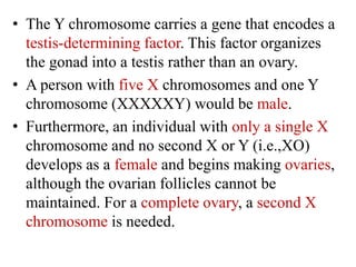 Sexual Differentiation During Development and Gonadal Dysgenesis | PPTX
