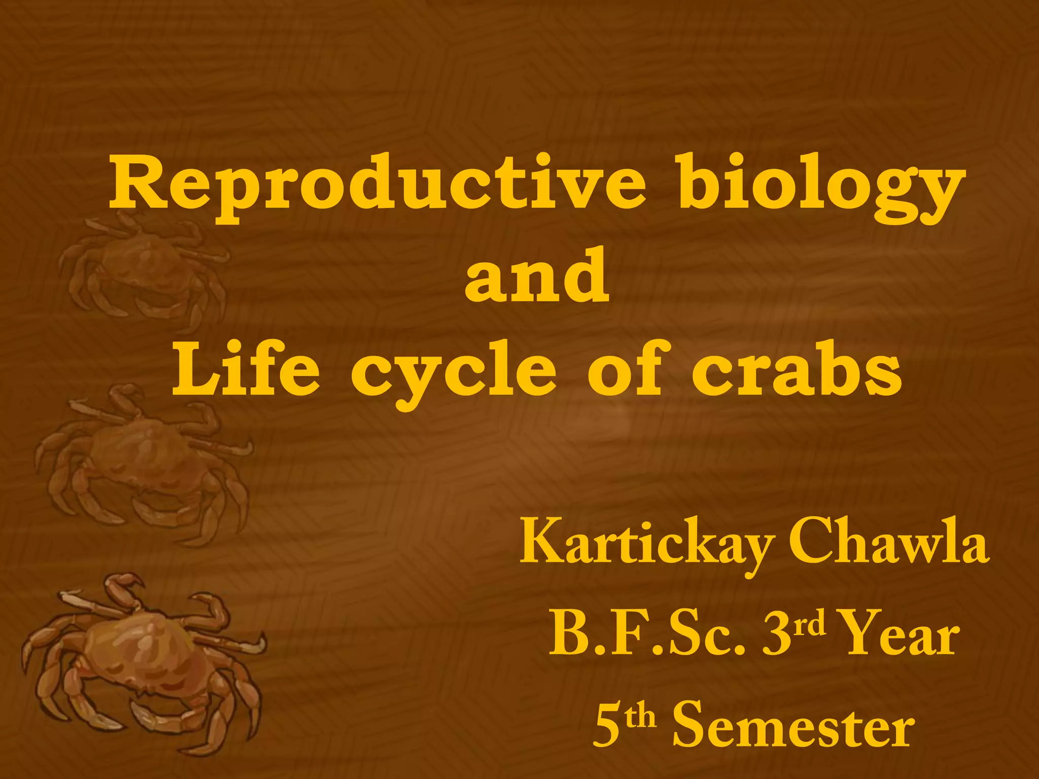 Reproductive biology and life cycle of crabs | PPT