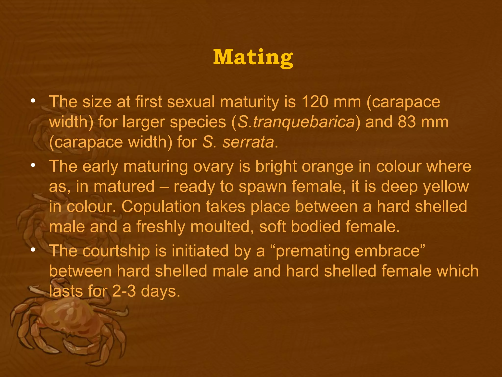 Reproductive biology and life cycle of crabs | PPT