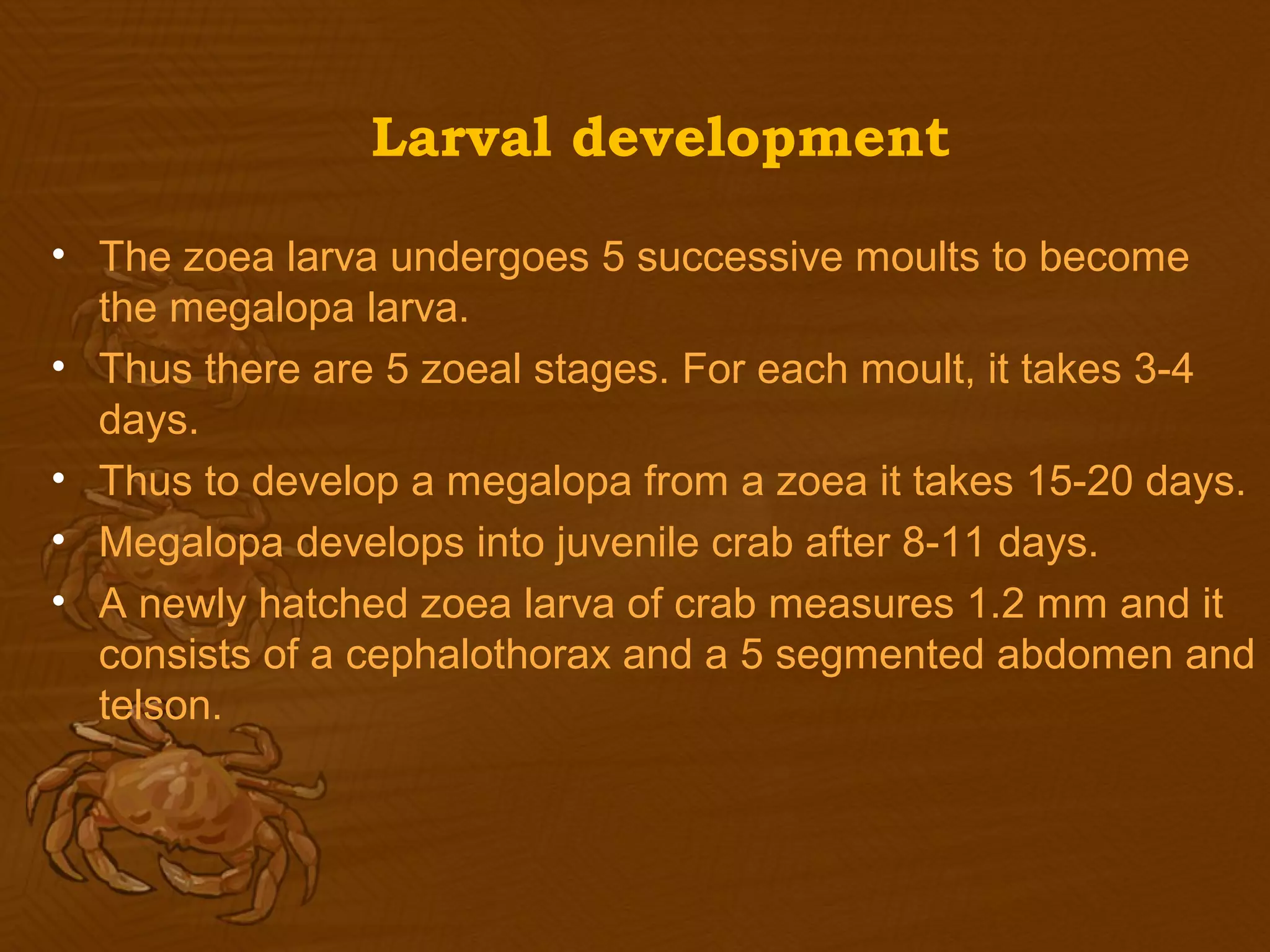 Reproductive biology and life cycle of crabs | PPT